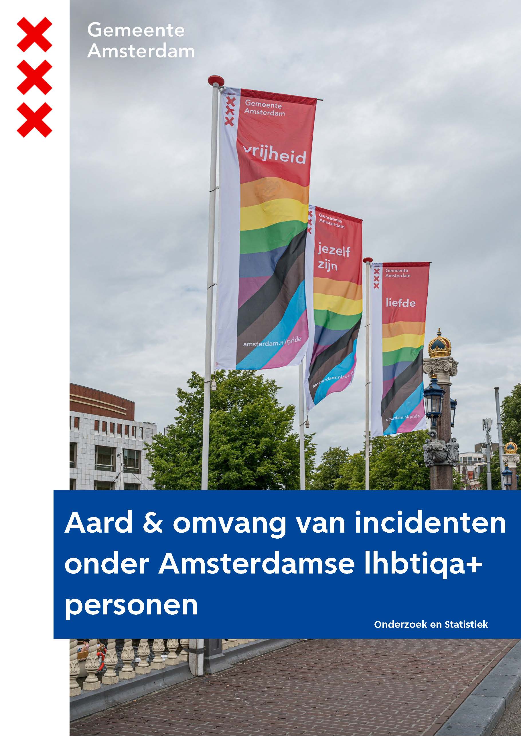 Aard, omvang en opvolging van lhbtiqa+-gerelateerde incidenten ...